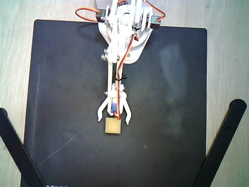 How to Use the arm Instance Segmentation API