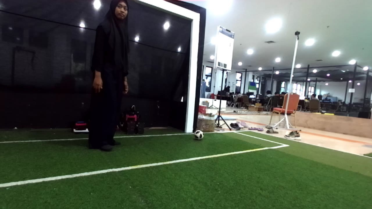 diki - Roboflow Universe