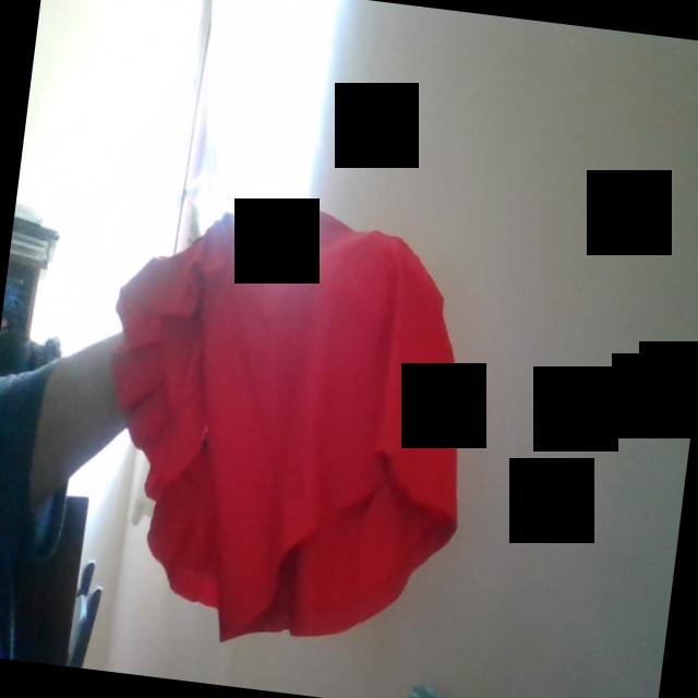 Harry Potter Cloak Instance Segmentation Dataset by UAO Specialization