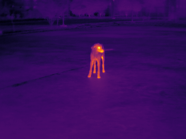Thermal data Object Detection Dataset by thermal