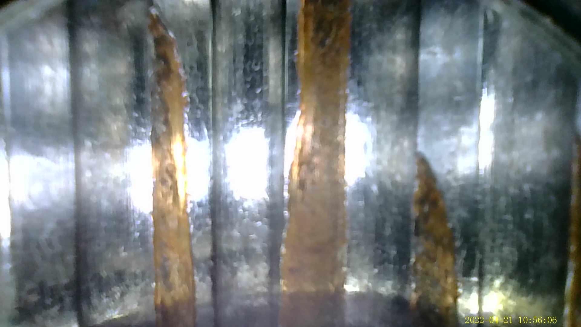 Barrel-defect-conversion-Jul Object Detection Dataset by Amit Vishnoi