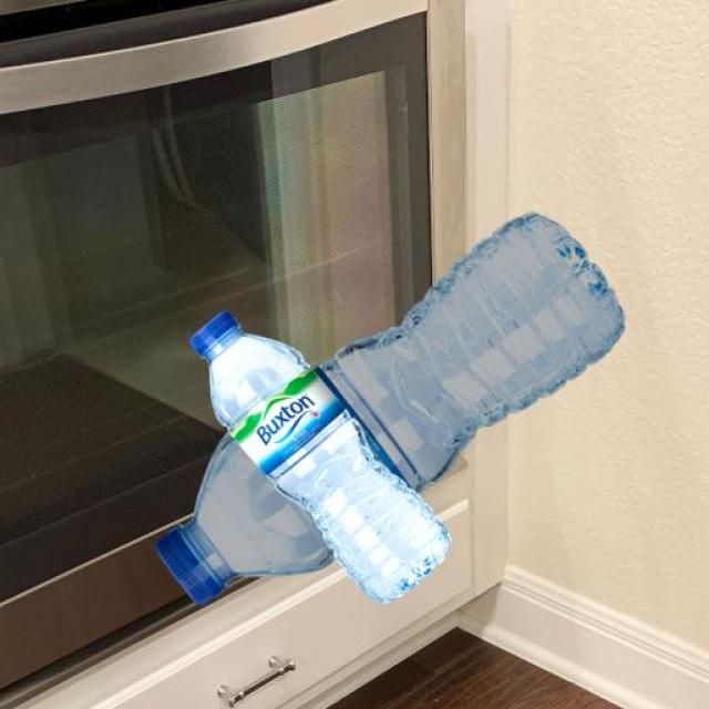 Plastic Bottle Object Detection Dataset And Pre Trained Model By