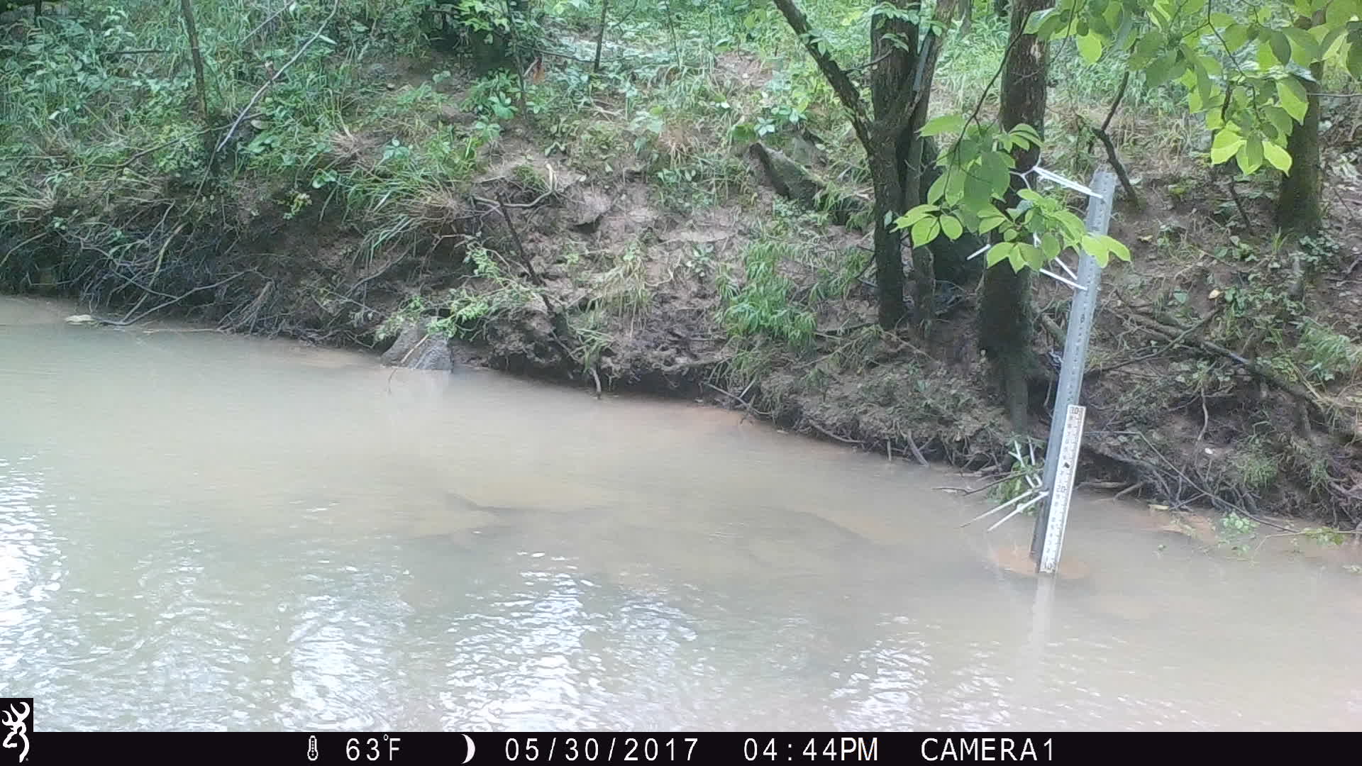 Streamflow Object Detection Dataset And Pre Trained Model By Collins Owusu