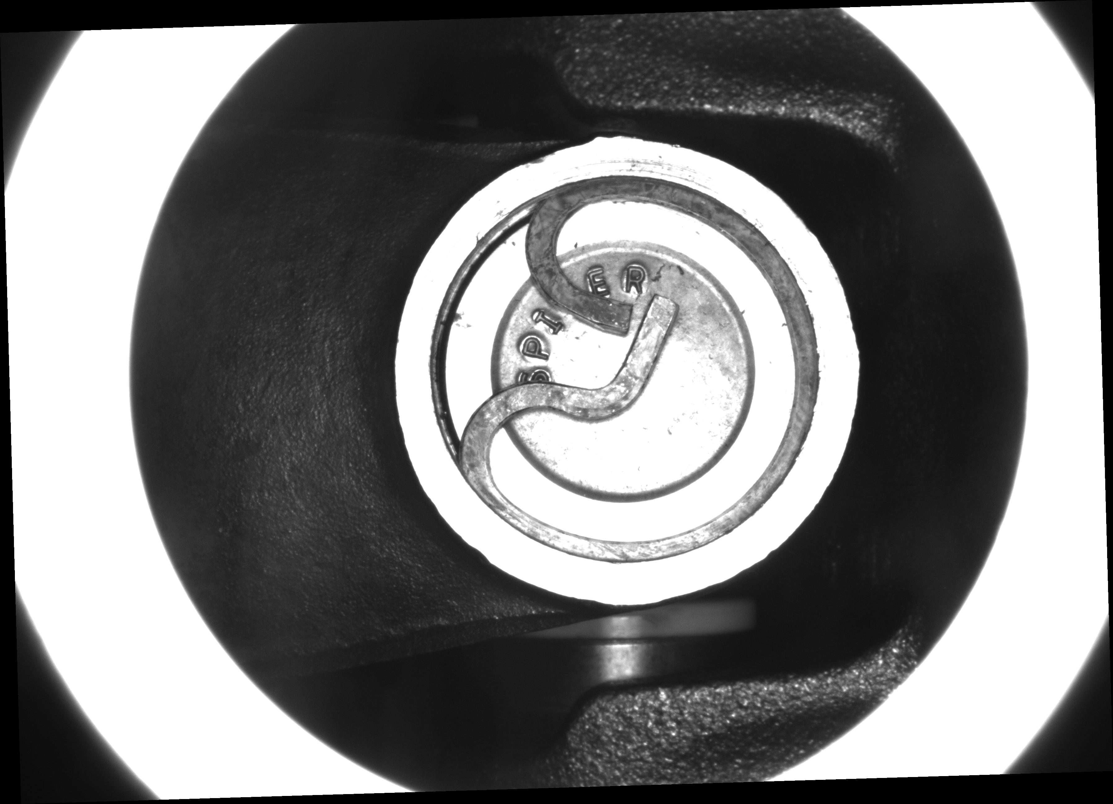 How to Use the Localization Object Detection API