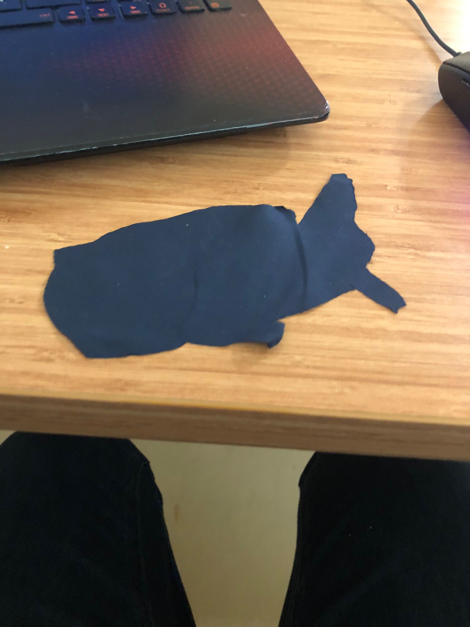 Graduation Project Instance Segmentation Dataset by School