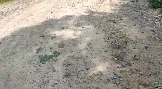 Pothole Detection Object Detection Dataset By Parth Sundarka