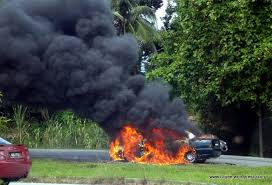 firenet Object Detection Dataset by skku