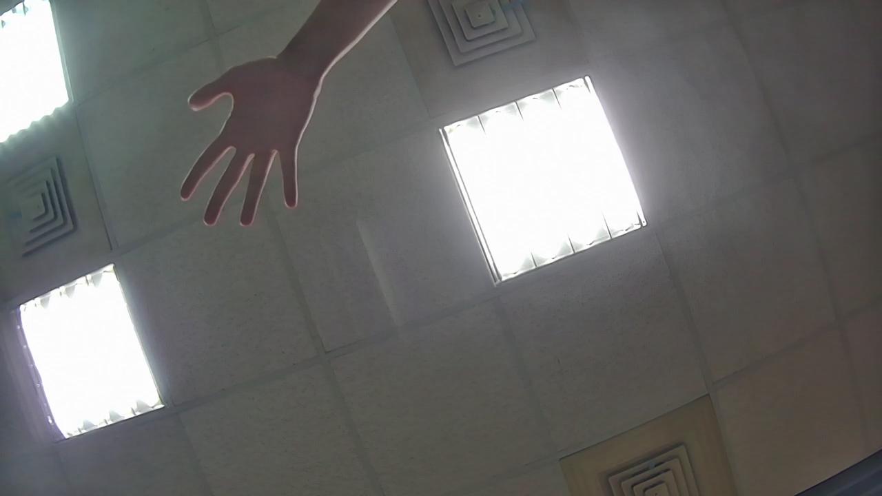 hand_and_doll Instance Segmentation Dataset by Yuanshung