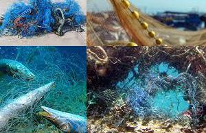 Marine-debris-detection Object Detection Dataset by Ratheshan ...