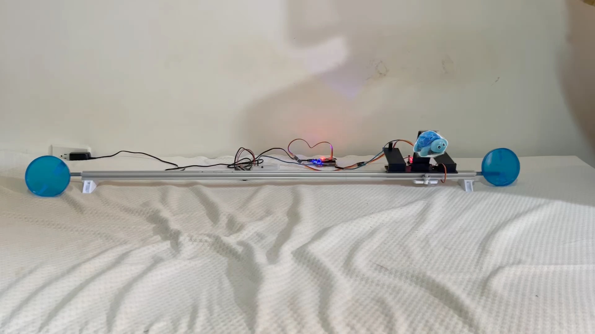 Turtle Detect Object Detection Dataset and Pre-Trained Model by school