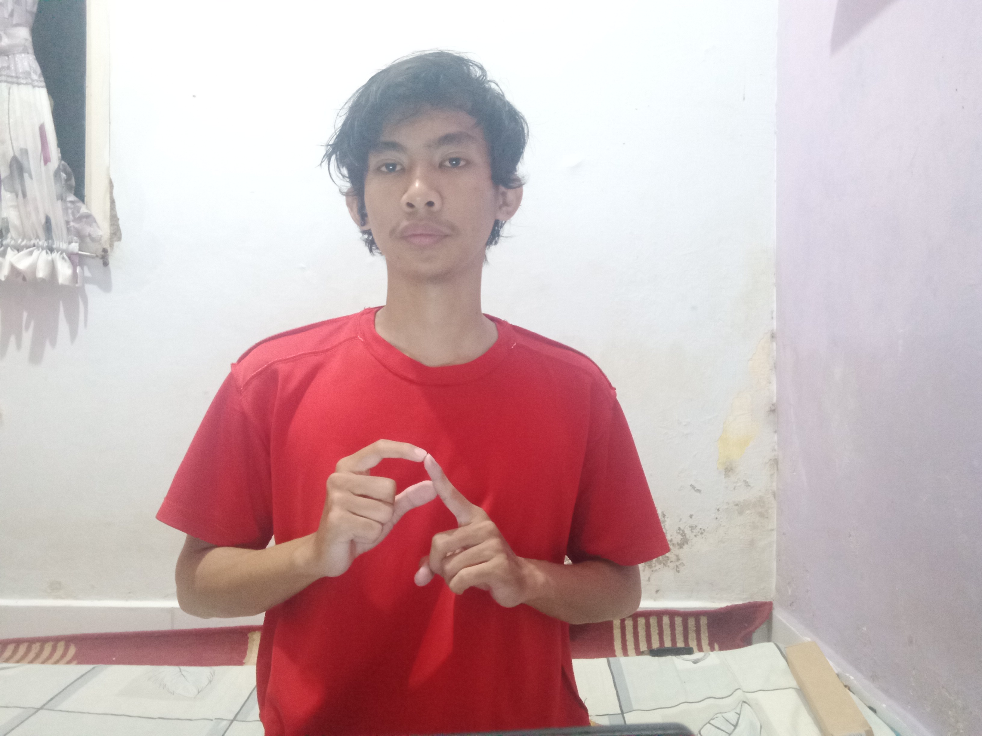 Bisindo Object Detection Dataset V11 Pengujian By Rial