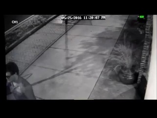 Abnormal activity Object Detection Dataset and Pre-Trained Model by yolov5