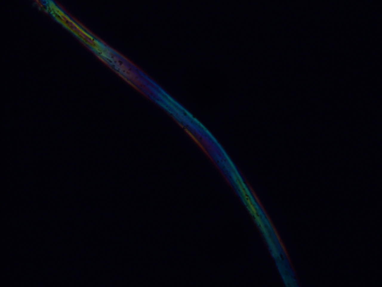 Microplastics Object Detection Dataset and Pre-Trained Model by uni