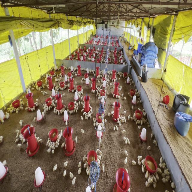 Ashwini Object Detection Dataset by 360 DigiTMG