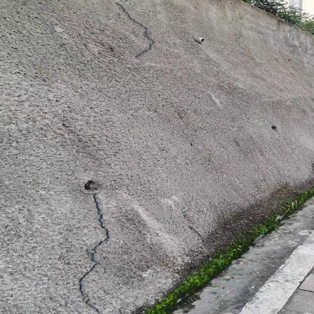 mydata Object Detection Dataset by niu