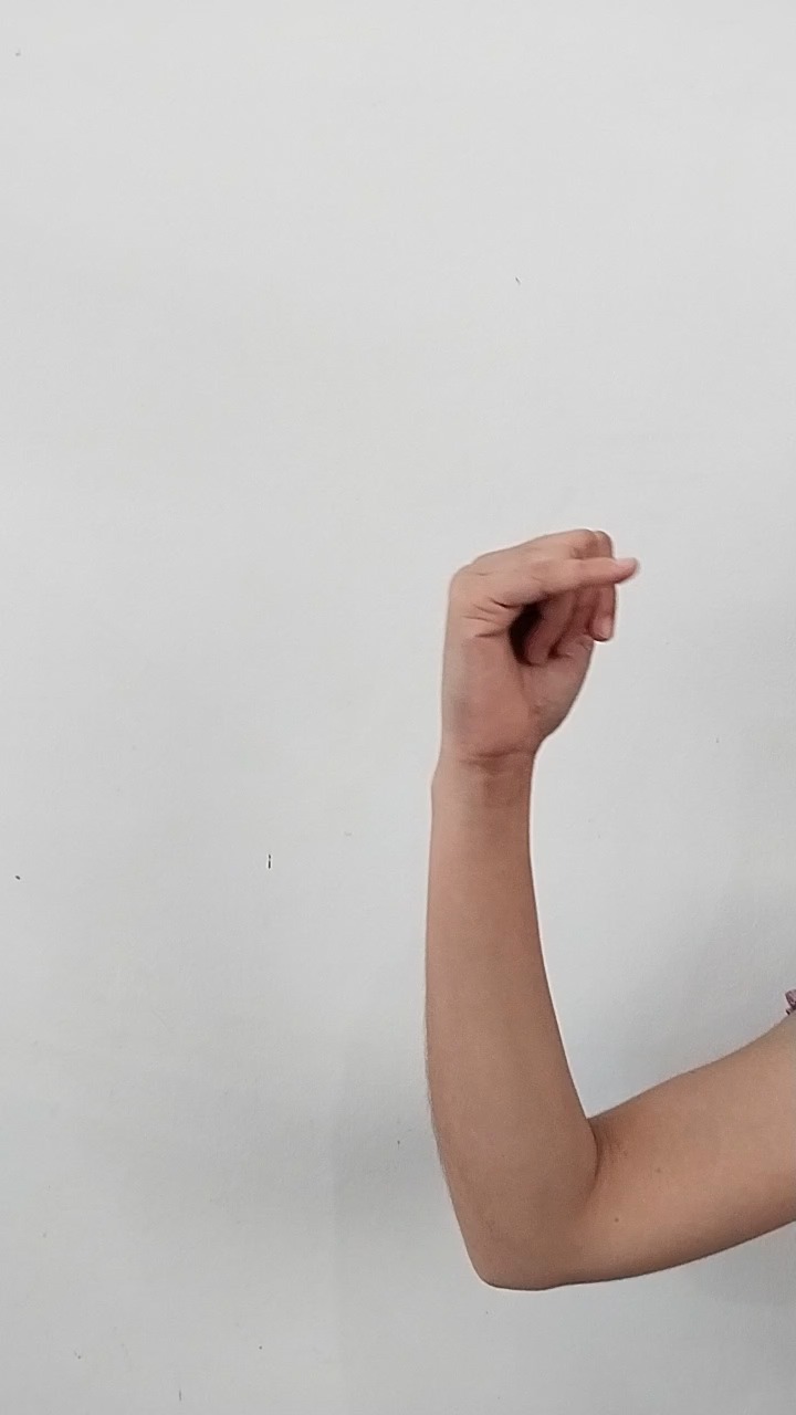 Sign Language Conversion Object Detection Dataset by Sign Language