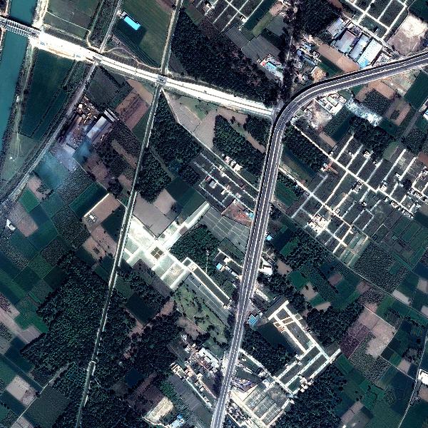 Summer Project Object Detection Dataset and Pre-Trained Model by Ananya 20