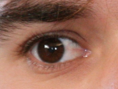 Iris Detection Object Detection Dataset by EyeDetection