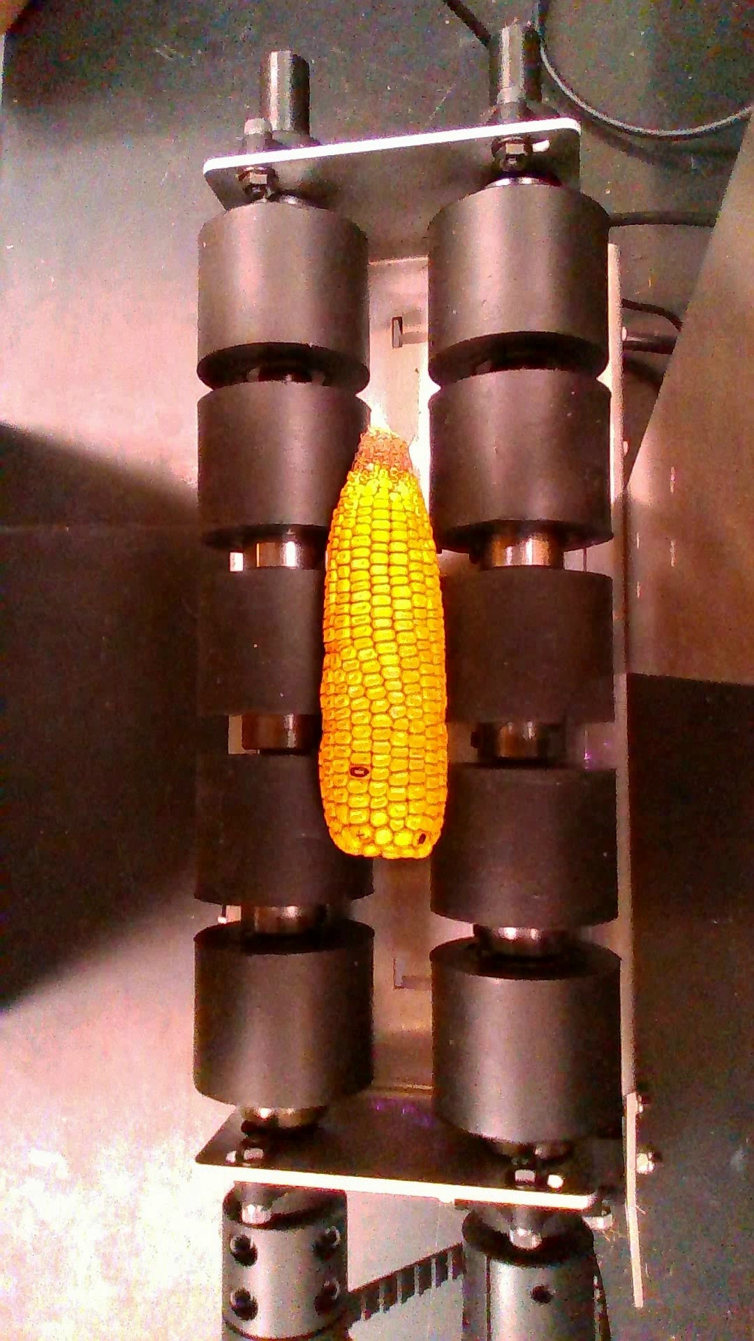 Corn John Deere Object Detection Dataset By Ksu Ciampitti Lab