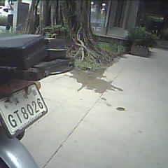 Follow me robot Object Detection Dataset and Pre-Trained Model by ...