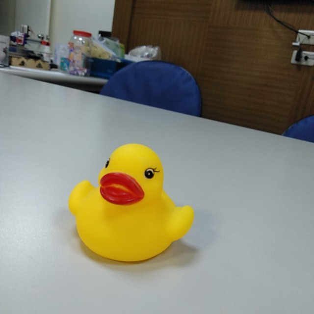 duck_test Object Detection Dataset by buber