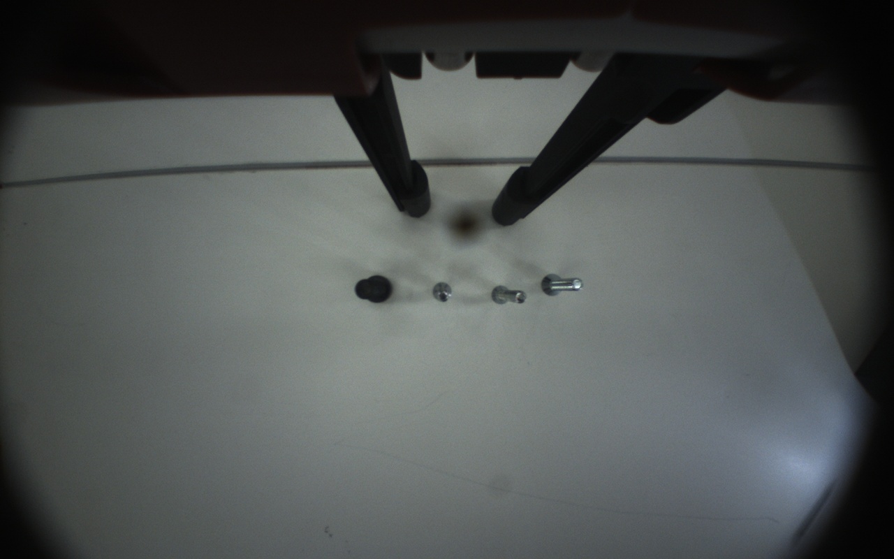 How to Use the Baxter Fastener Sorting Object Detection API