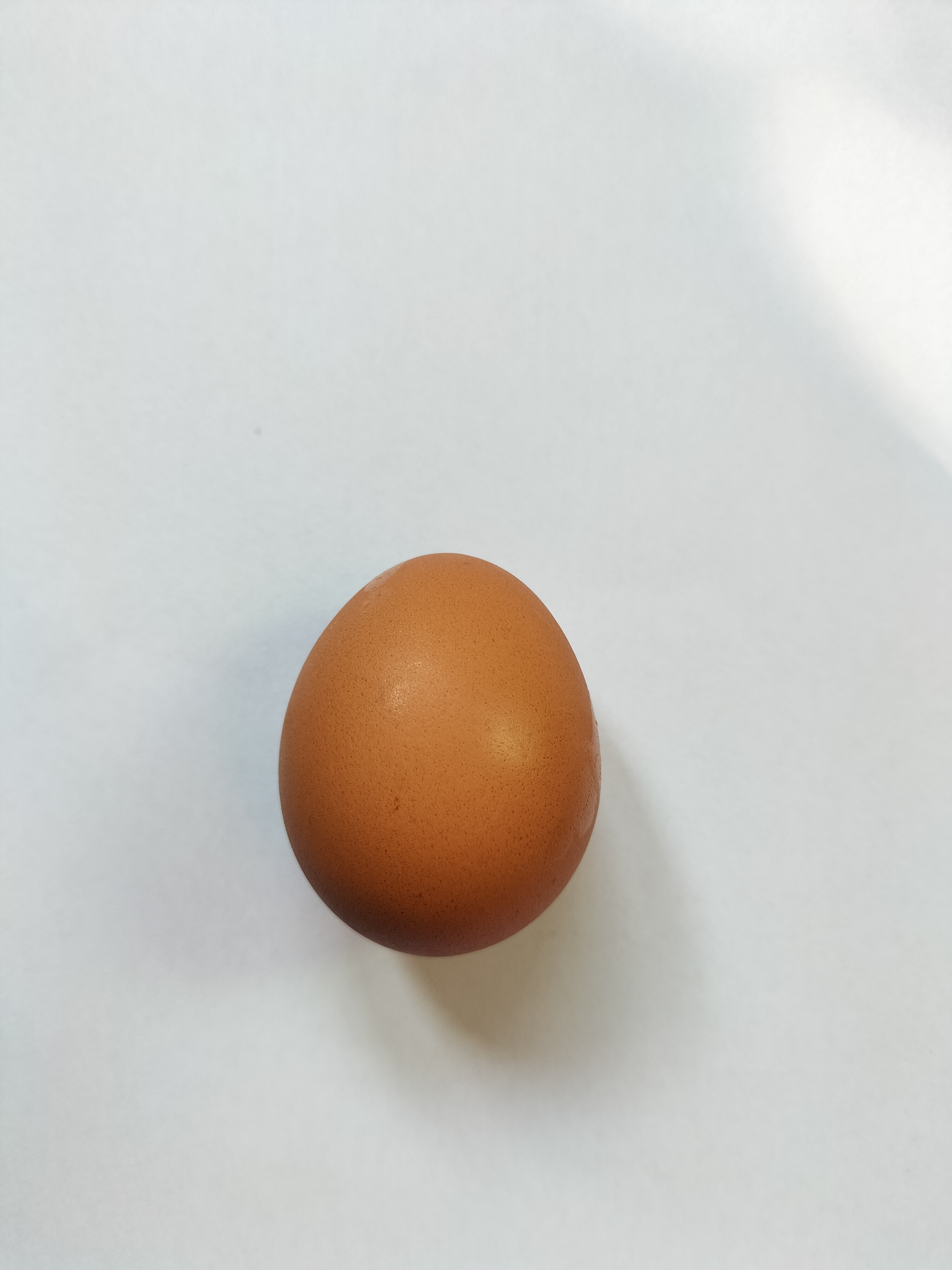Eggs Detection Object Detection Dataset By College