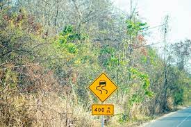 Traffic Signs Detection Object Detection Dataset and Pre-Trained Model by st