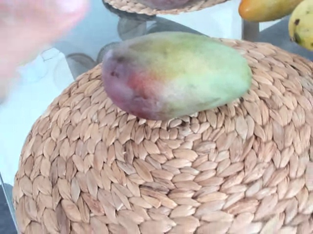 Mangonator Object Detection Dataset and Pre-Trained Model by Baxter Projects