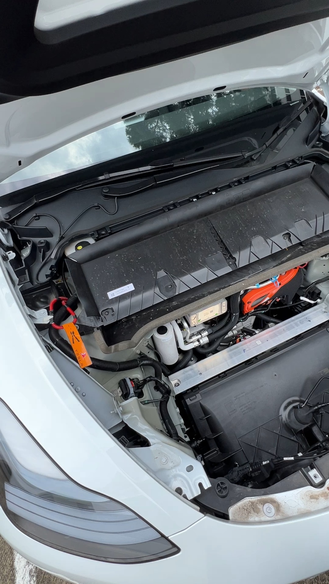 Tesla-ModelY Object Detection Dataset by Ming kin ng