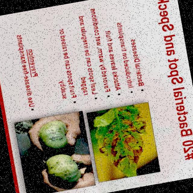 How to Use the 17 classes plants Object Detection API