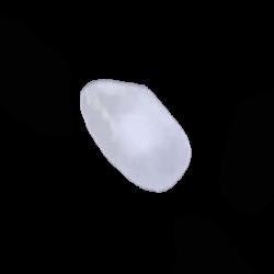 rice Classification Dataset and Pre-Trained Model by rmutl