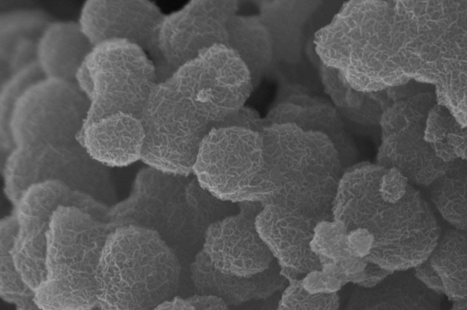 Nanoparticles Object Detection Dataset and Pre-Trained Model by Team7