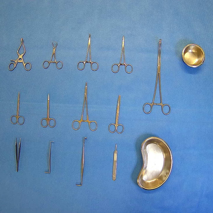 Ortho_test Object Detection Dataset by Phetladaphon