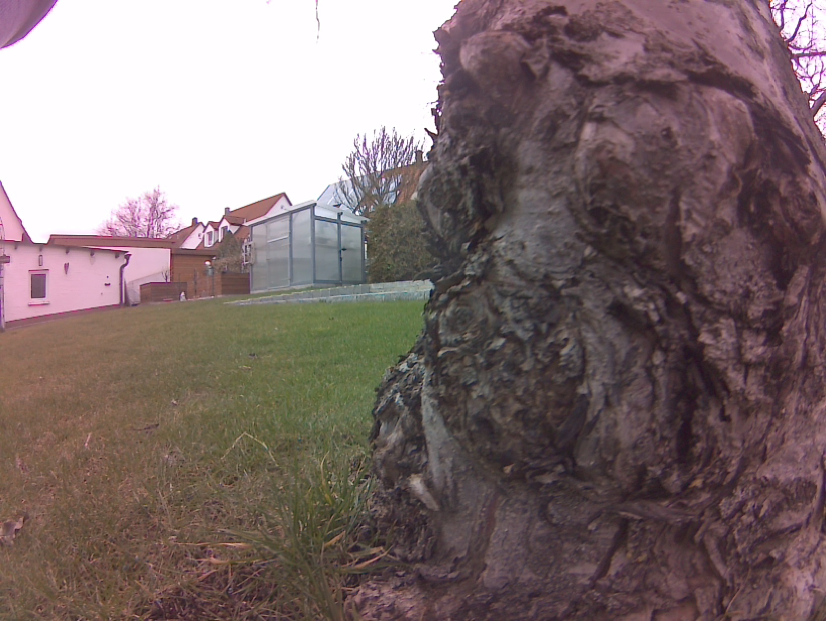 Lawn Mower Object Detection Dataset and Pre-Trained Model by projectthesis