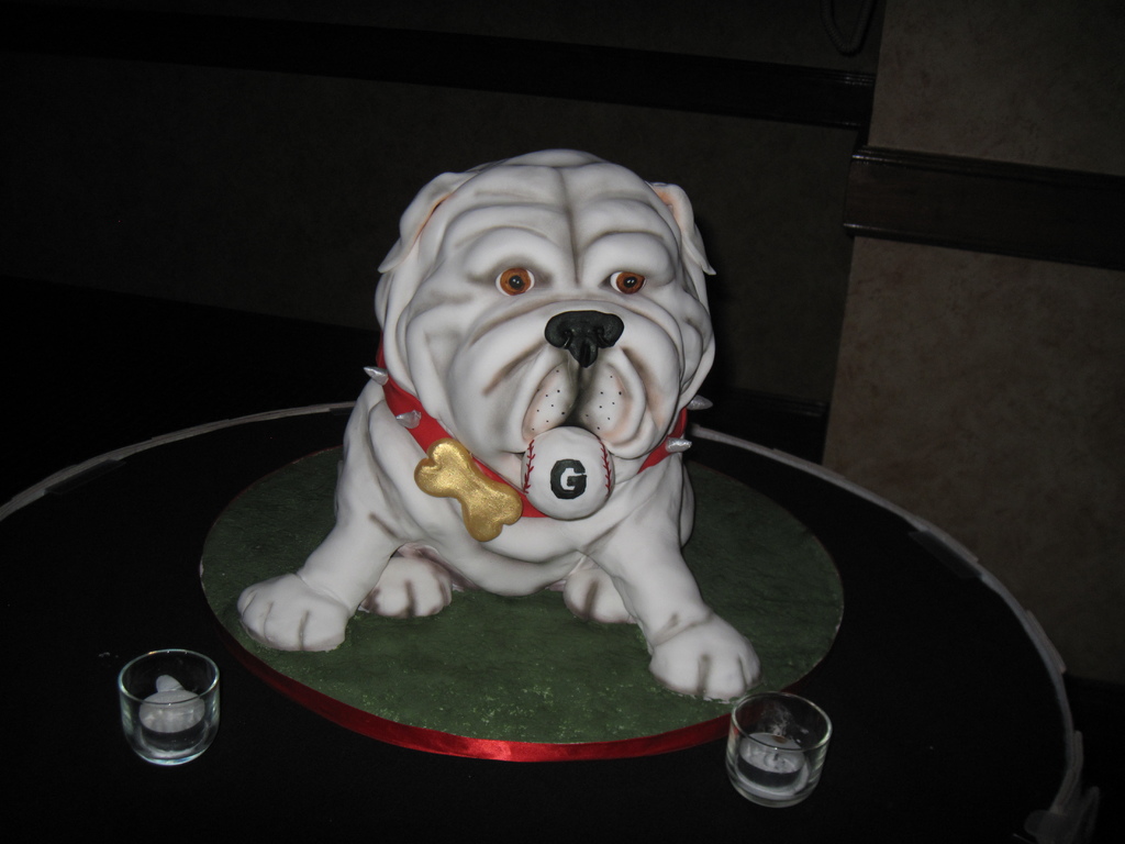 Tcc Test1 Object Detection Dataset V1 2022 07 13 12 05pm By Tcc