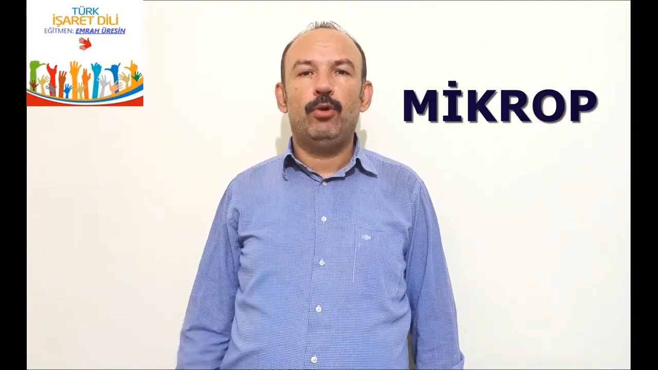 Mikrop Object Detection Dataset By Bitirme Devi