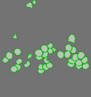 BlueBerries Instance Segmentation Dataset by 1