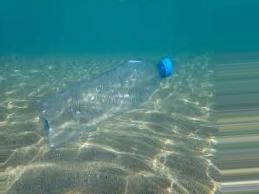 water pollution detection Object Detection Dataset and Pre-Trained ...