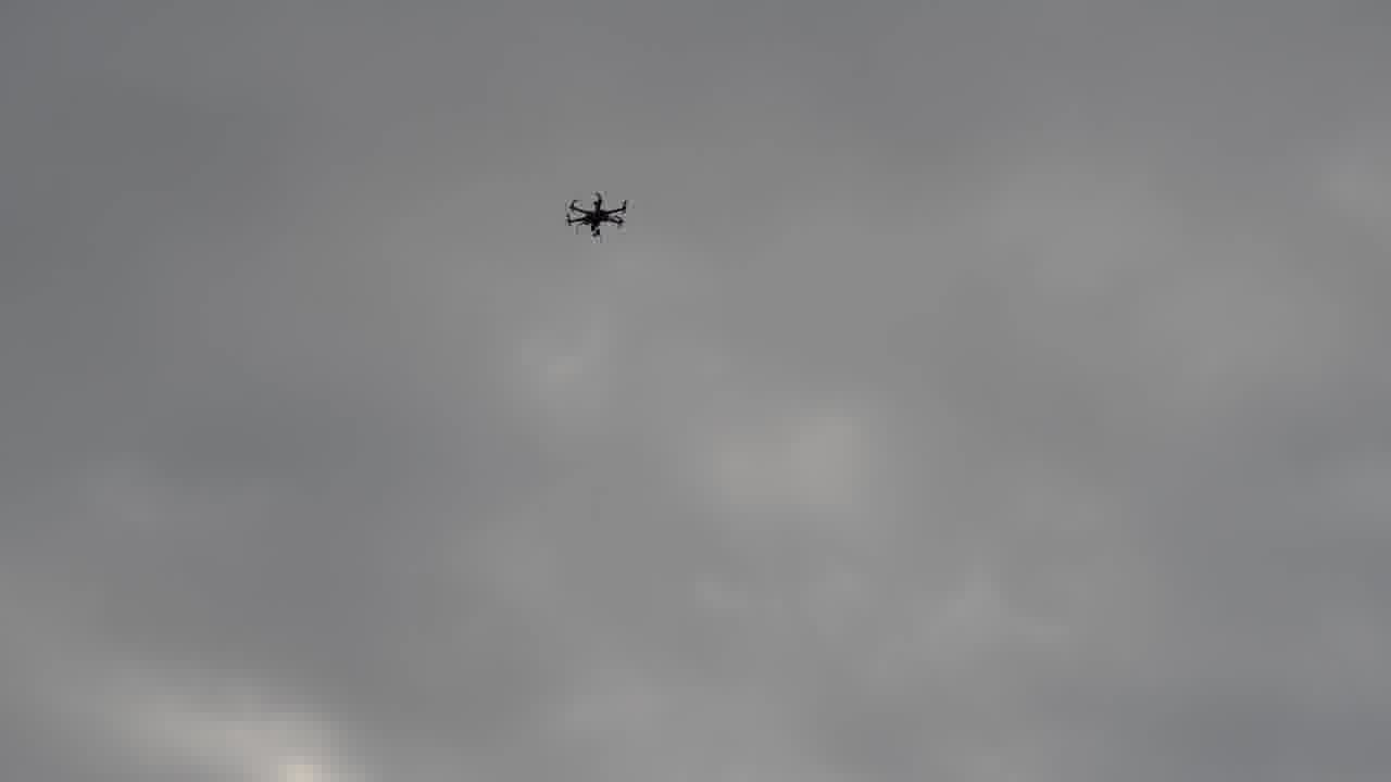 How to Use the drone Object Detection API