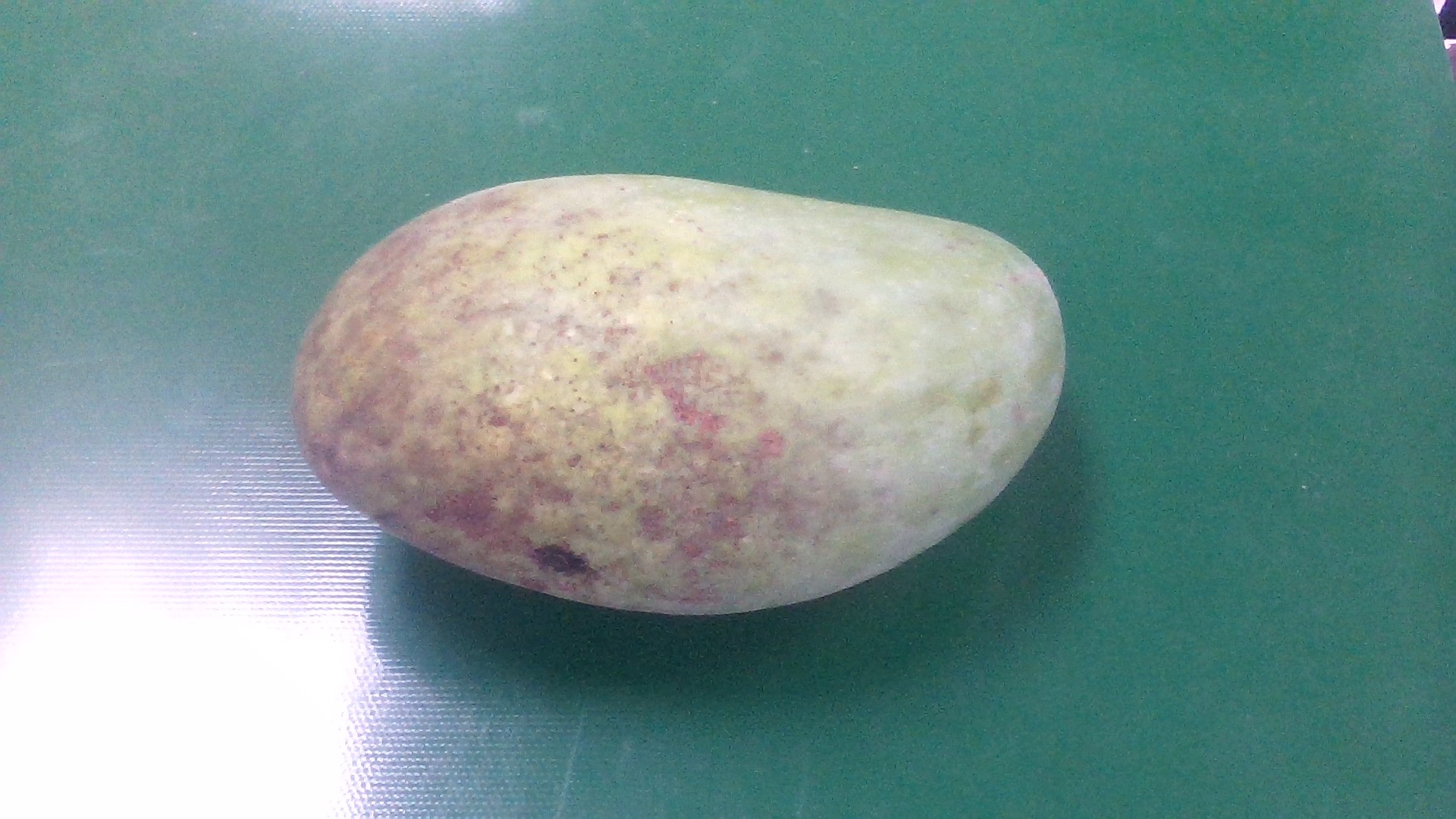 mango grading Object Detection Dataset and Pre-Trained Model by KMUTNB