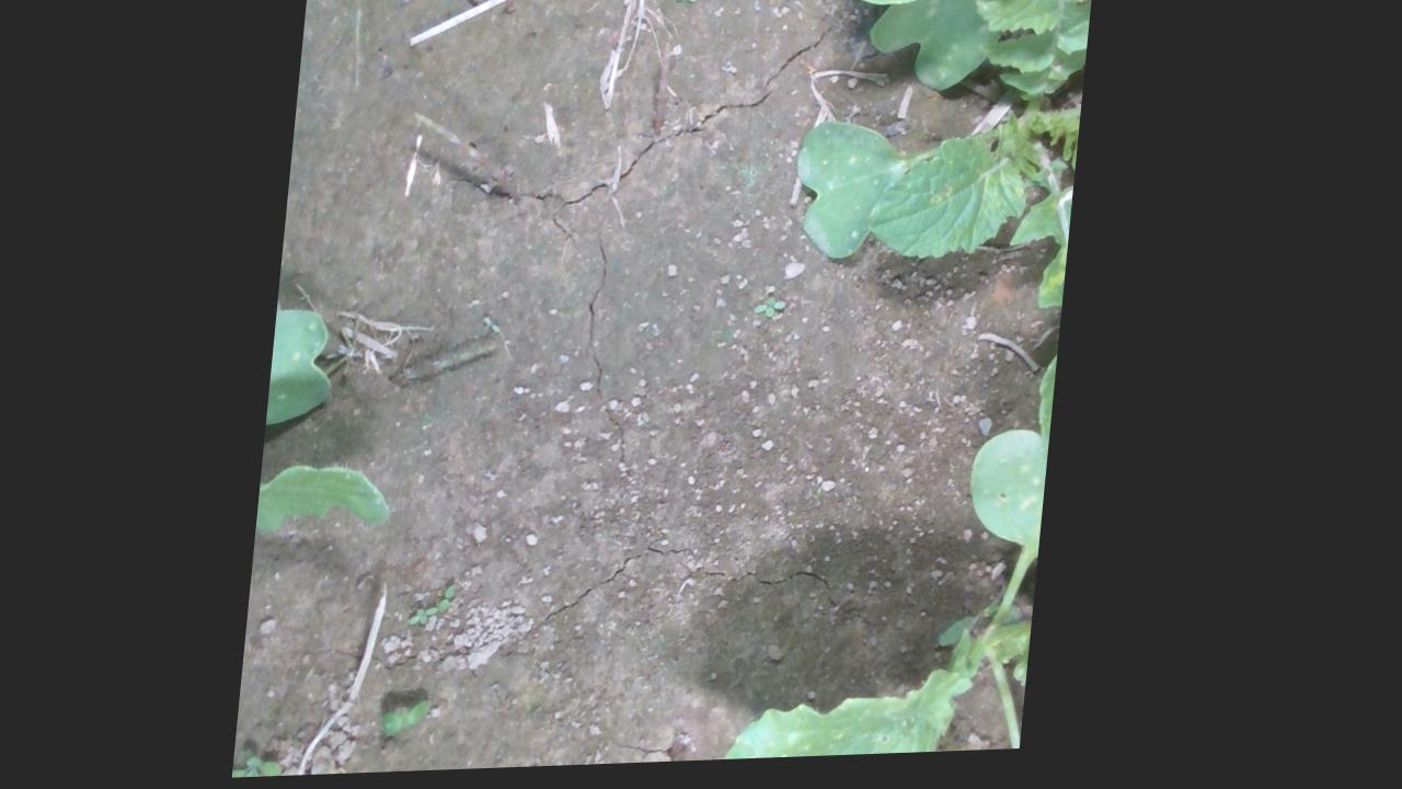 Weed Detection Object Detection Dataset By Test