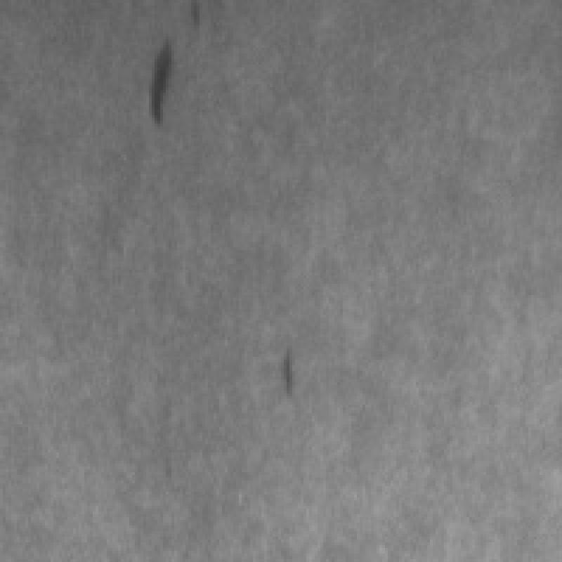 Neu Det Debug Object Detection Dataset By School