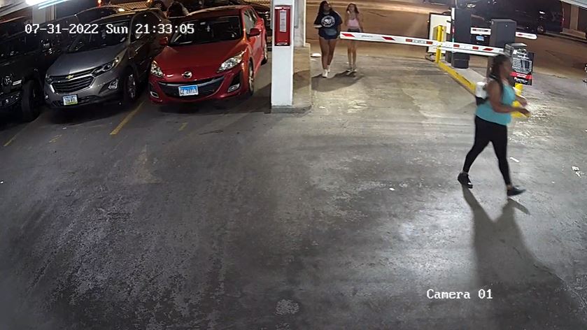 Ebt Batch 2 Object Detection Dataset By Evolution