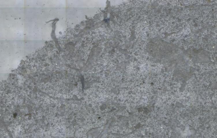 V2 Uftir Allfilters Particles Instance Segmentation Dataset And Pre Trained Model By Uftir Particles