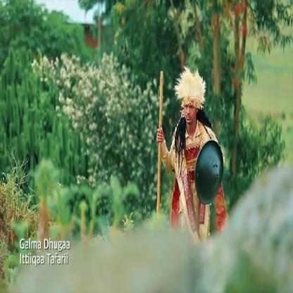 Gaachana_Aug Object Detection Dataset by OMC