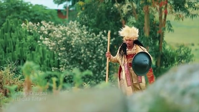 Gaachana Object Detection Dataset by OMC