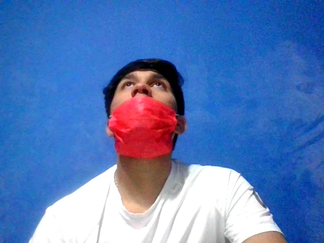 Detection Classification Dataset By New Workspace 2cnfr