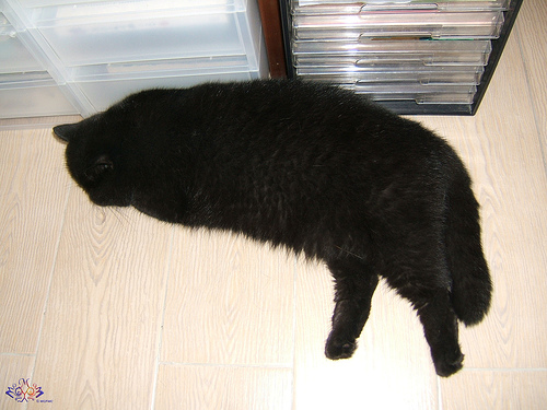 PASCAL-PART Object Detection Dataset and Pre-Trained Model by ...