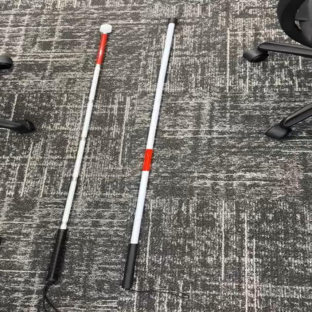 umbrella and cane Object Detection Dataset by school